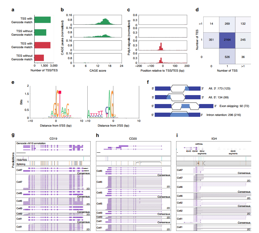 Nanopore cDNA-PCR测序_吉赛生物