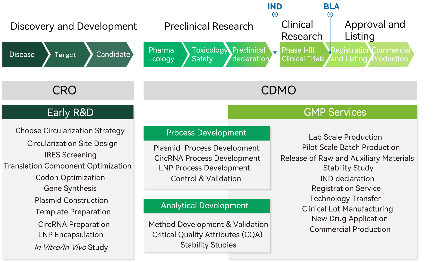 CircRNA CRDMO服务 | 吉赛生物_吉赛生物